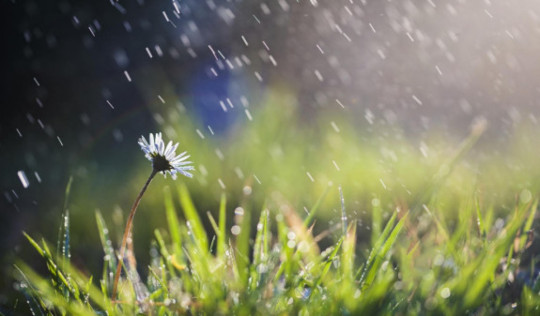 News from Armenia - Tert.am