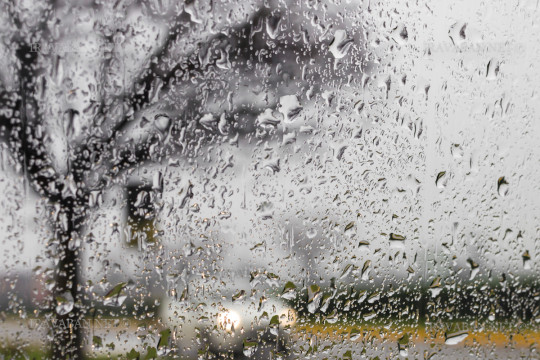 News from Armenia - Tert.am